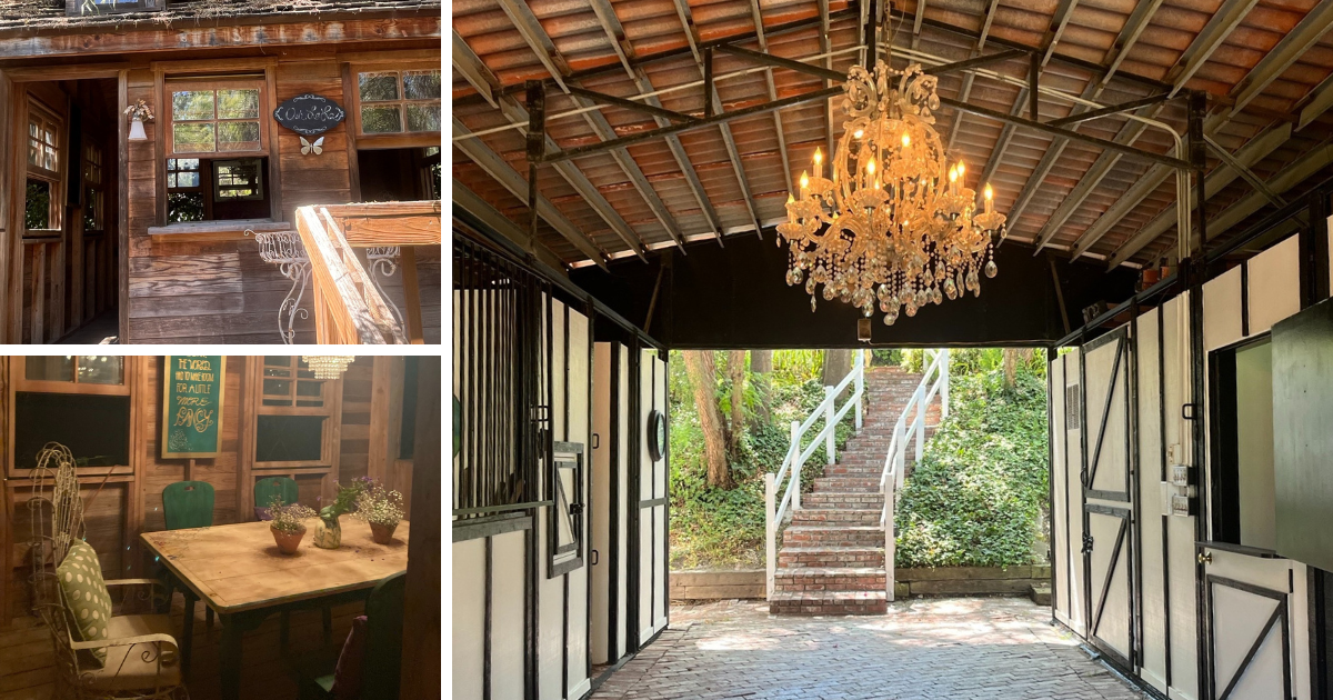 Treehouse Dinner at Rolling Hills Estates - SPLASH 2025